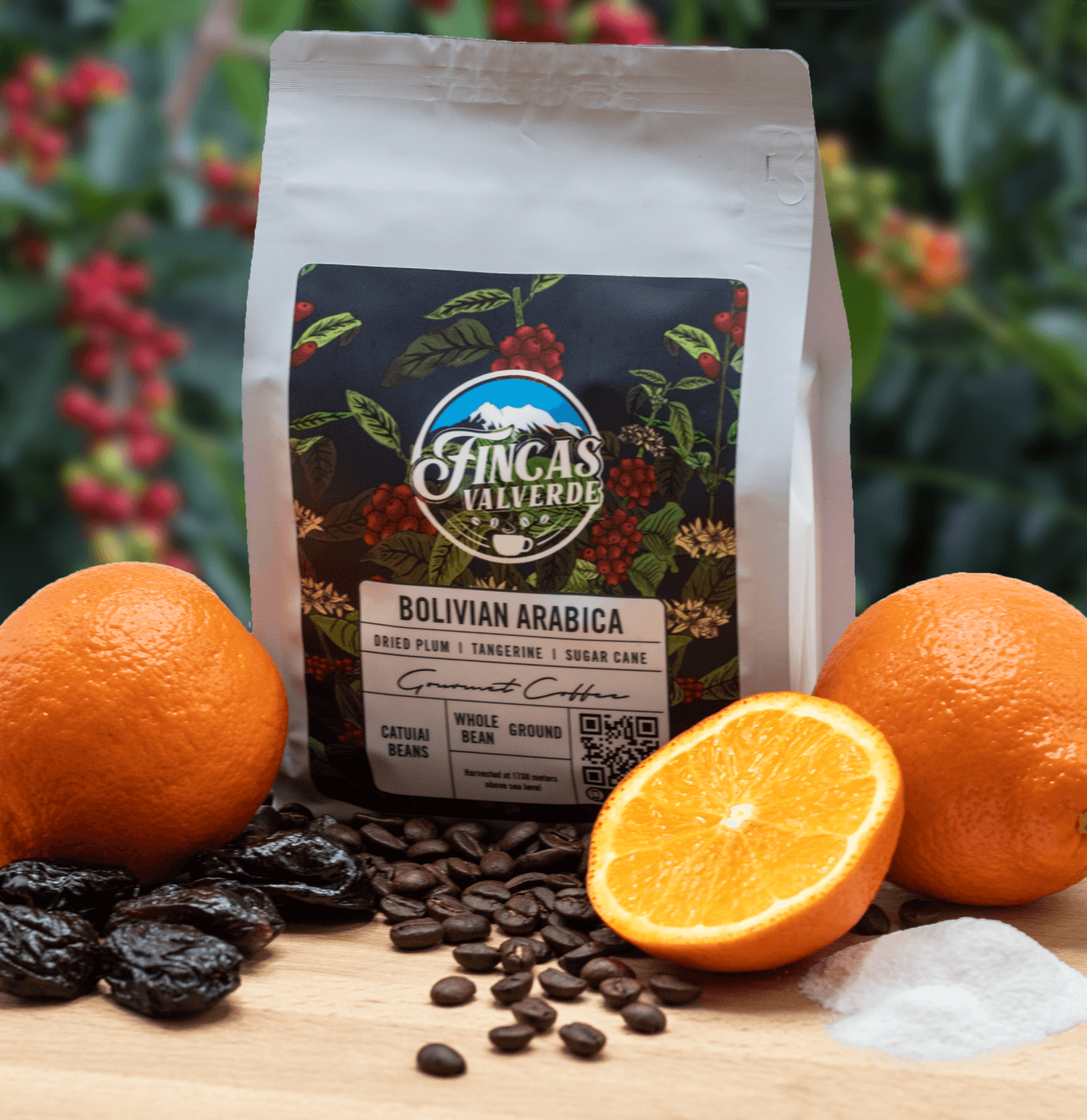 Bolivian Specialty CATUAI – Fincas Valverde Bolivian Specialty Coffee